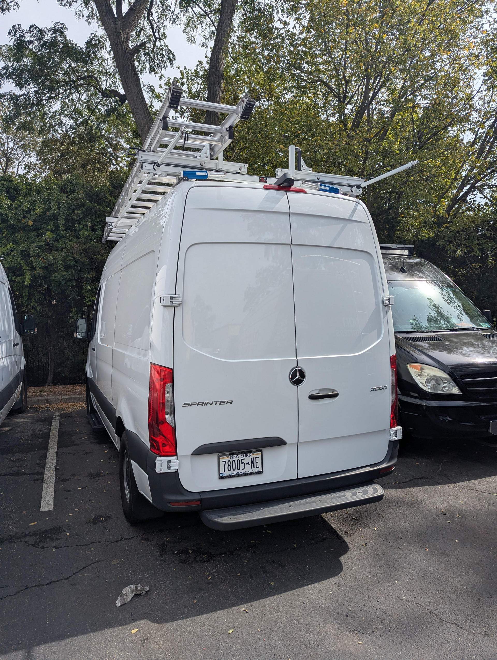 Buy Sprinter ErgoRack Drop Down Ladder Rack | Prime Design