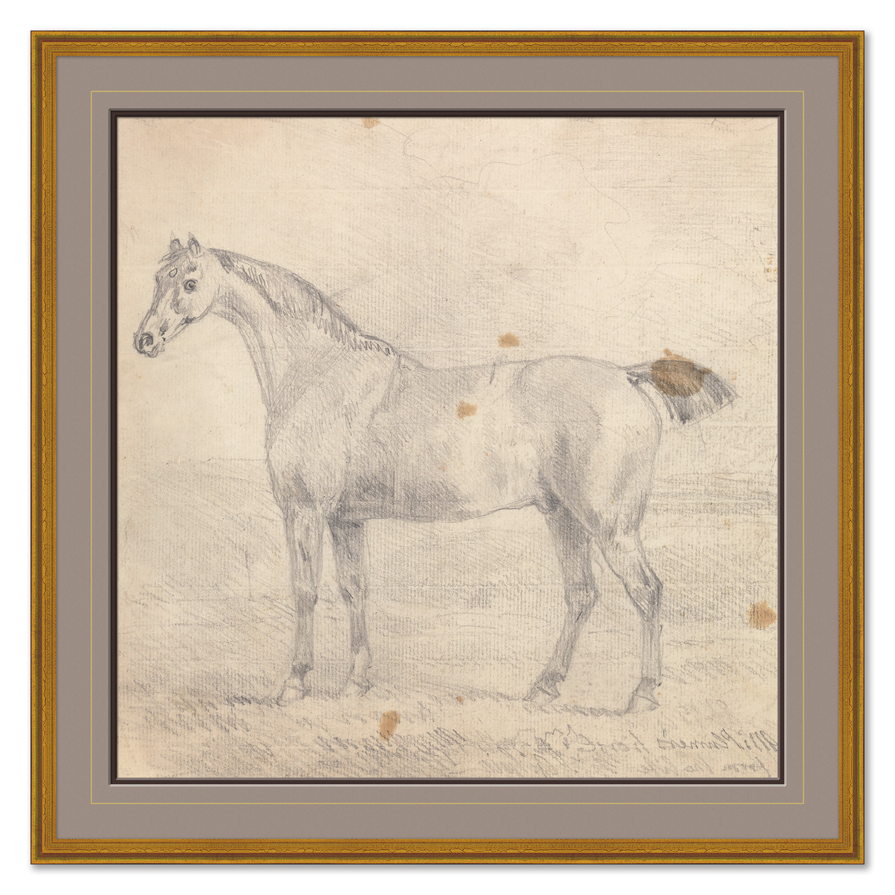 P-6827 Mr. Plumer's Horse, Sawrey Gilpin - Soicher Marin