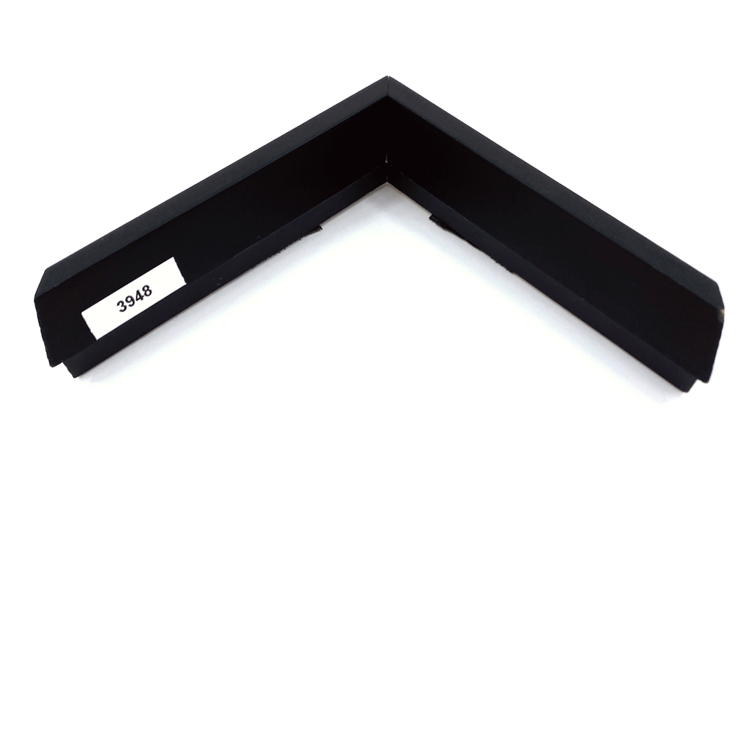 3948 Frame Moulding