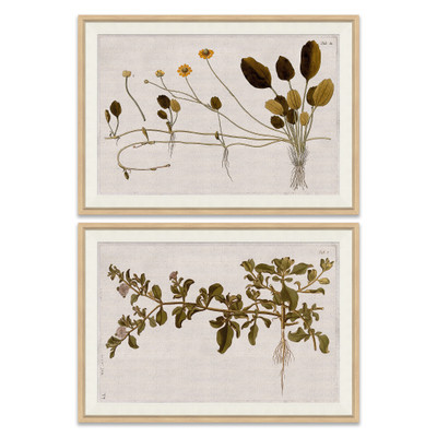 All Items - Page 37 - Soicher Marin