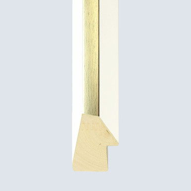 4160 Frame Moulding