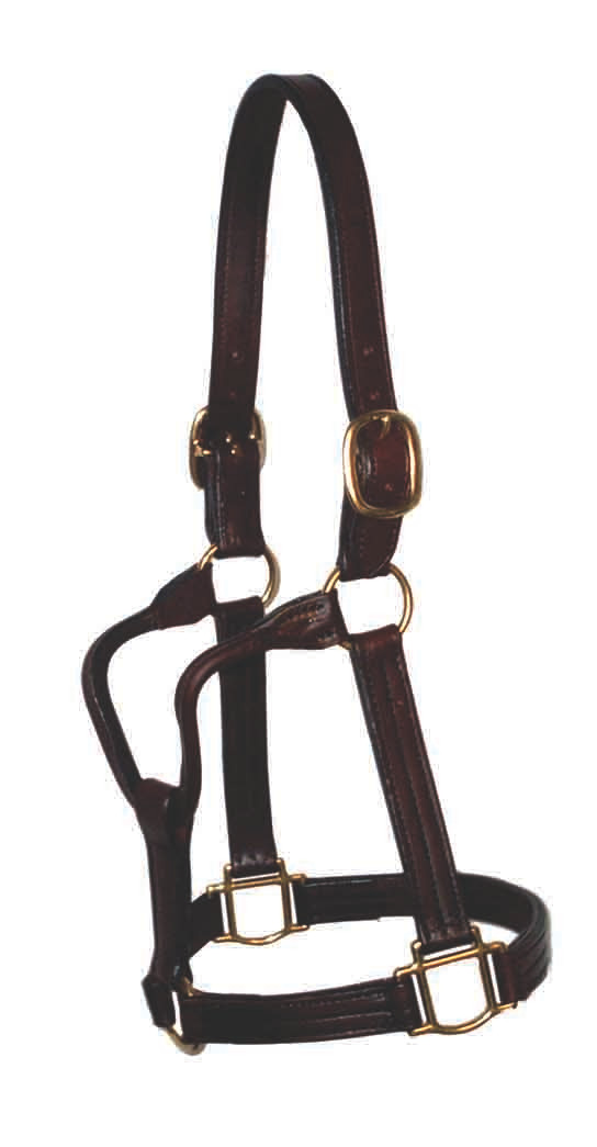 Leather Horse Halter | Working Horse Tack in Amish Country