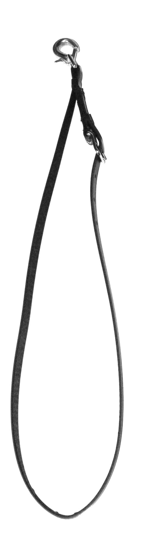 Walk Through Fly Trap