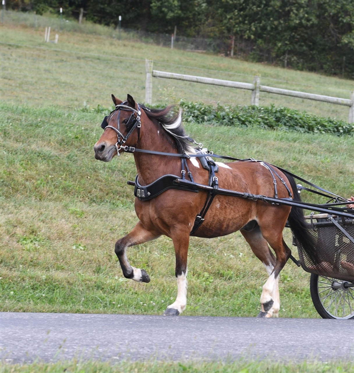 Deep V Breast Collar Pony Harness | Working Horse Tack