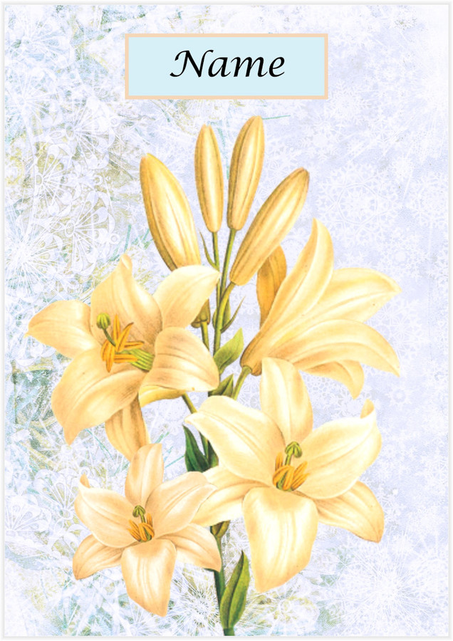 Cool Lily