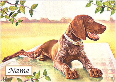 Pointer at Rest