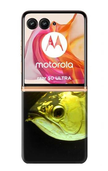 S1021 ゴールドアロワナの魚 Gold Arowana Fish Motorola Razr 50 Ultra バックケース、フリップ ...
