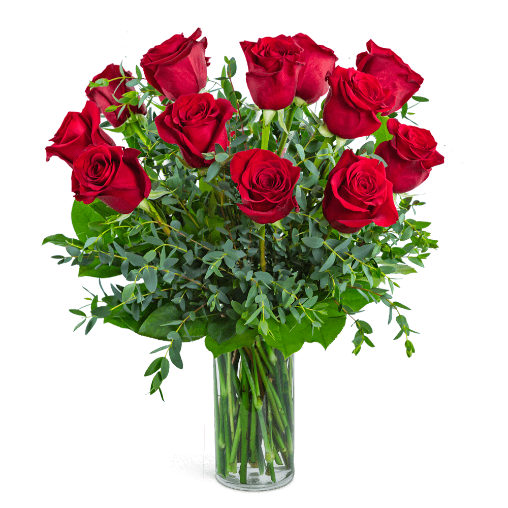 One Dozen Red Hot Roses - Abbott Florist