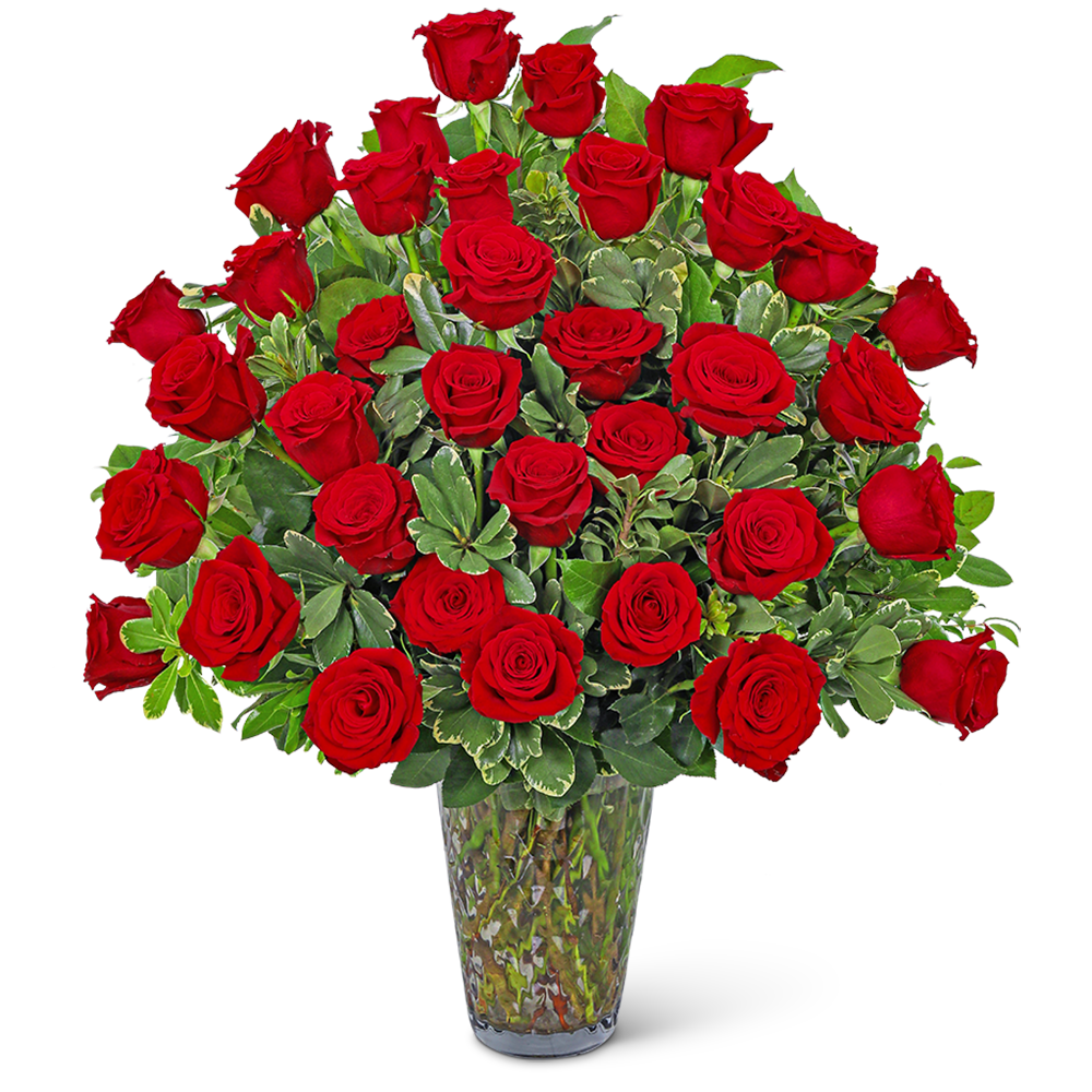Three Dozen Elegant Red Roses - Abbott Florist