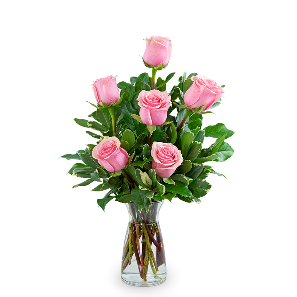 Pink Roses (6) - Abbott Florist