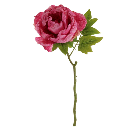48cm Dried Touch Hot Pink Closed Peony Pick (1)