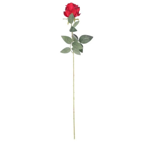70cm Burgundy Arundel Rose (1)