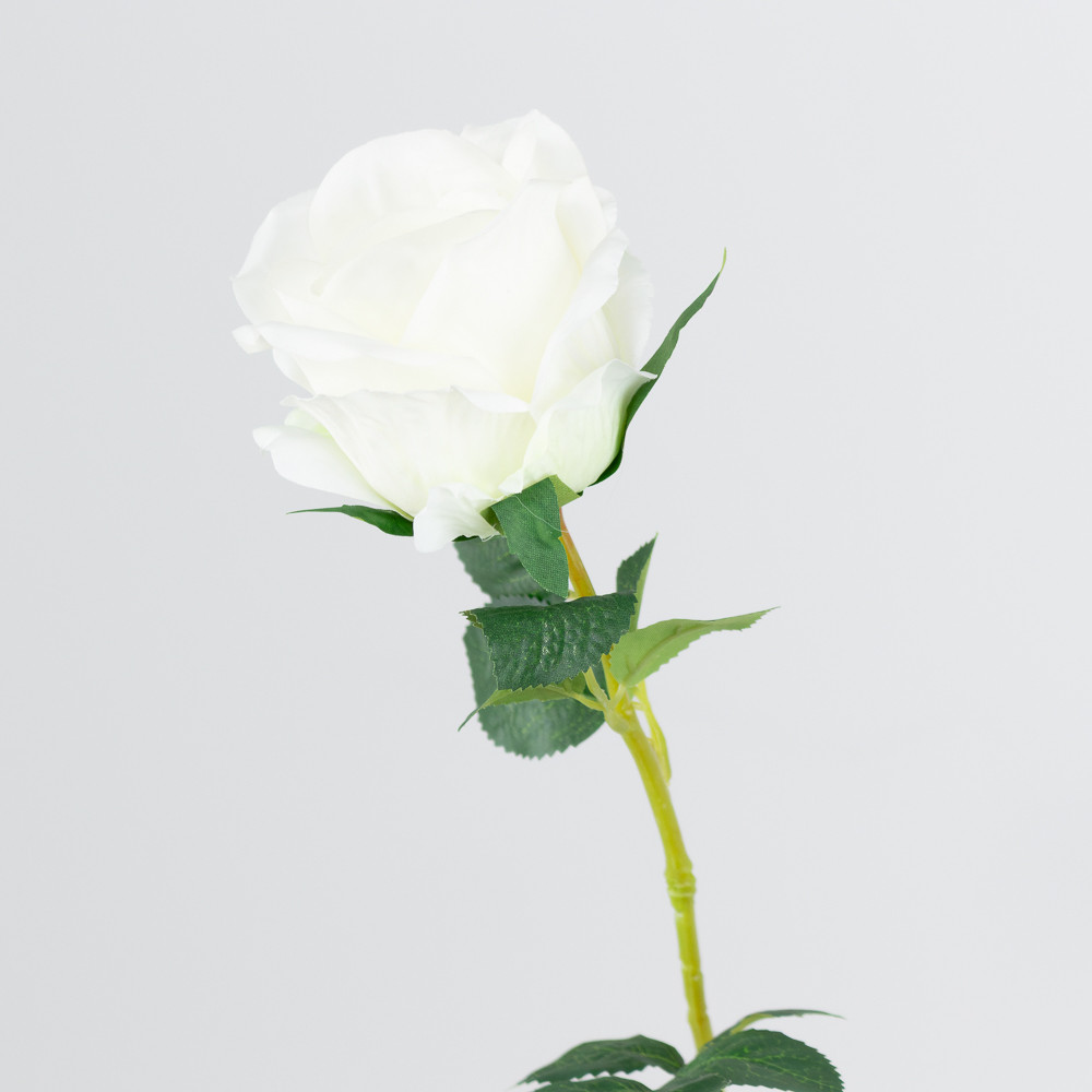58cm Ivory Garden Rose (1)