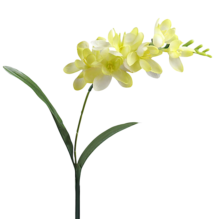 56cm Pale Yellow Freesia Stem (1)