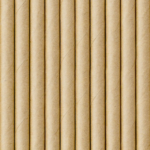 Kraft Paper Straws (10)