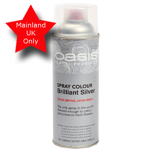 Metallic Brilliant Silver Colour Spray - 400ml (1)