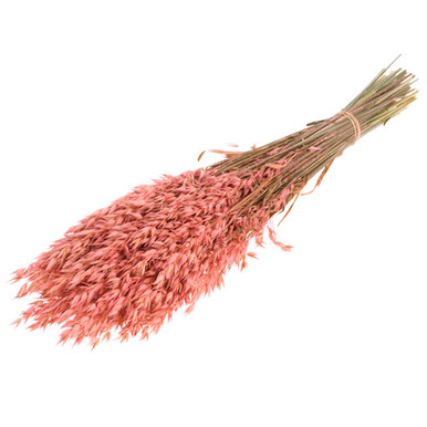 60cm Dried Pink Oats Bunch - 25-30 Stems