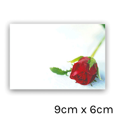 Red Rosebud Message Cards - 9cm x 6cm (50)