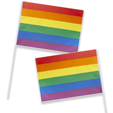 Rainbow Pride Flags with Sticks - 12" x 8" (5)