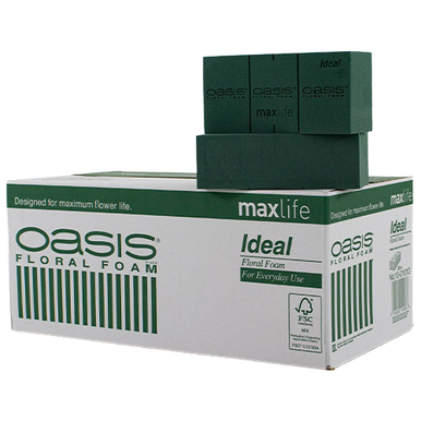 OASIS® Ideal Floral Foam Maxlife Bricks (20)