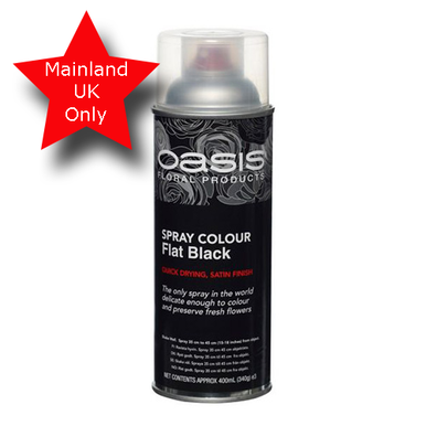 Flat Black Solid Spray - 400ml (1)