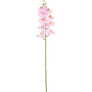 97cm Cotton Candy Phalaenopsis Orchid (1)