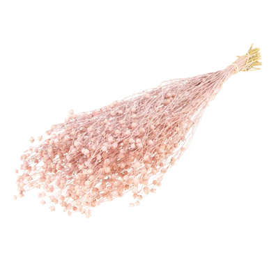 45-55cm Dried Pink Misty Linum (Flax) Bunch - 100g (1)