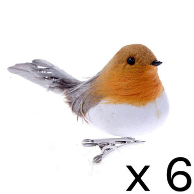 Robin Clips (6)