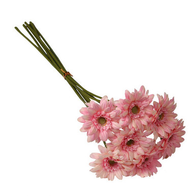 47cm Light Pink Mini Gerbera Bundle - 7 Stems