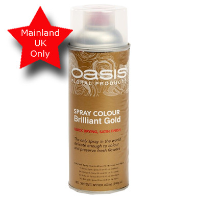 Metallic Brilliant Gold Colour Spray - 400ml (1)