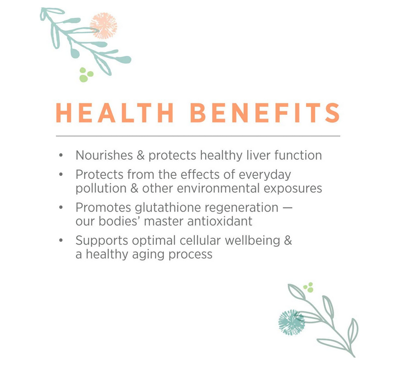 Pure Synergy Cell Protector - 120 Capsules | Radiant Life