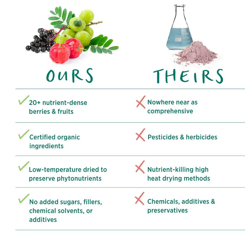 Organic Berry Powder | Antioxidant Powder | Radiant Life