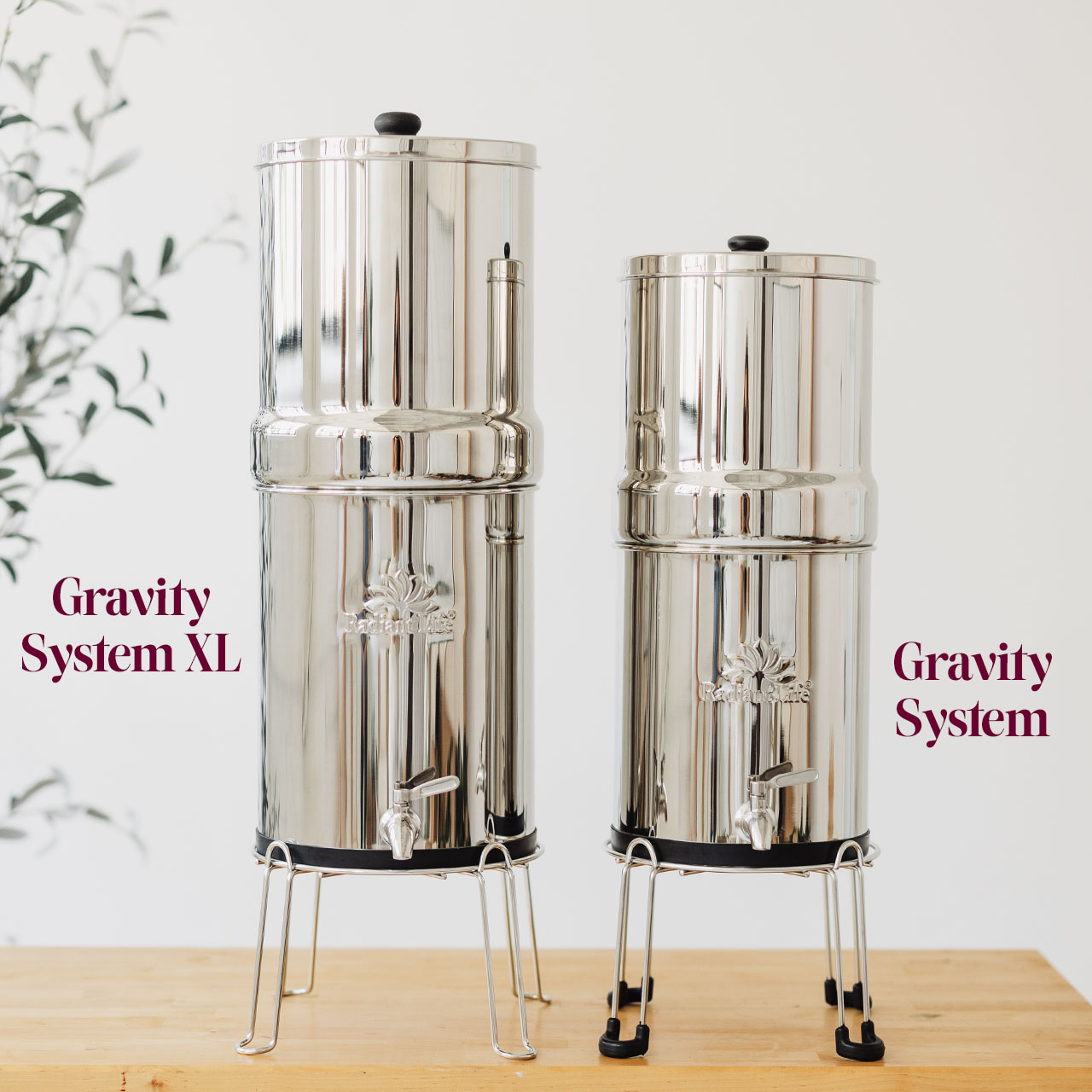 Stainless Steel Gravity Countertop Water Filter by Radiant Life