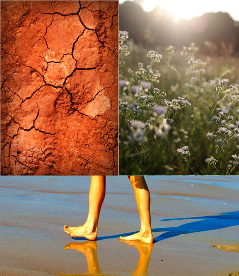 Video: Earthing Questions Answered - Radiant Life