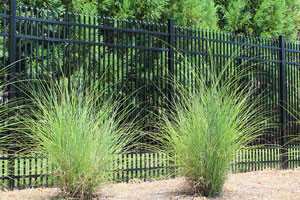 Choosing the Right Height for Your Fence: A Practical Guide - Online ...