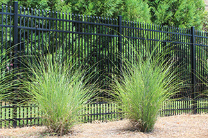 Why We Add a Fourth Rail to a Six-Foot-High Aluminum Fence - Online ...