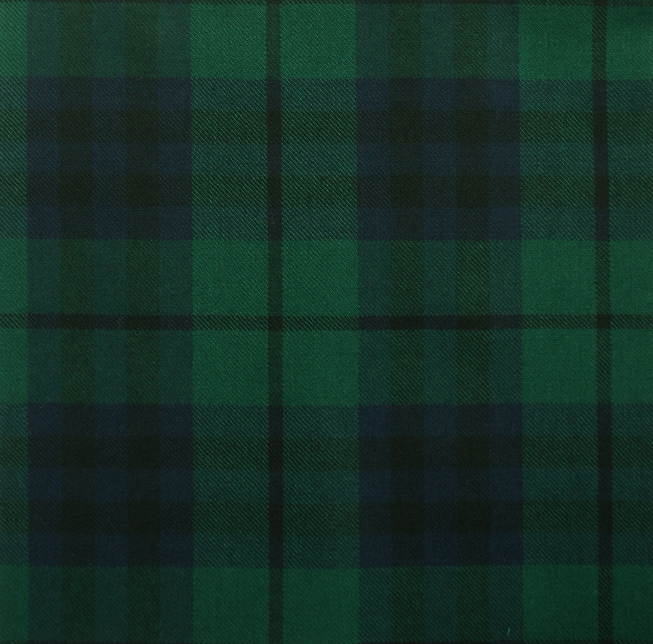 Austin Modern Light Weight Clan Family Tartan Scottish Lochcarron