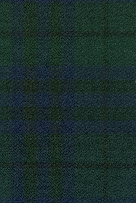 Austin Modern Tartan Fabric Swatch
