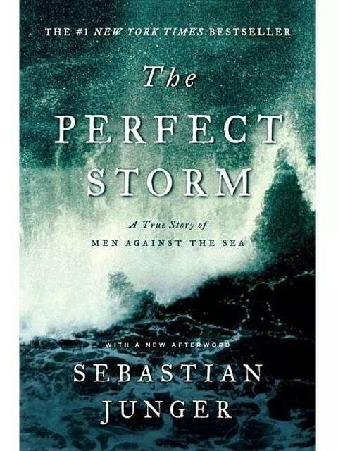 The Perfect Storm | beachgoods