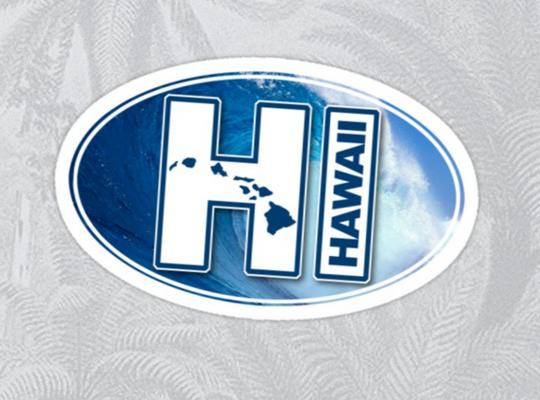 HI Hawaii Sticker | beachgoods