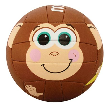 Pig With Molten Volleyball