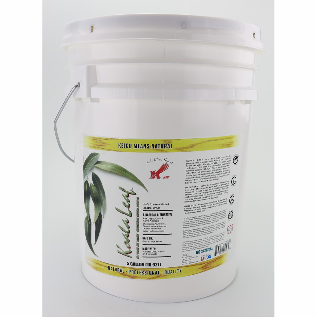 Koala Leaf 50:1 - LaubeShop