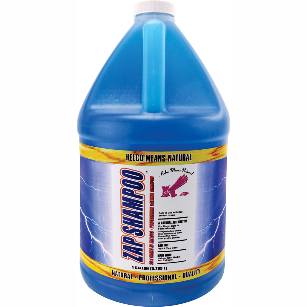 Zap Shampoo 50:1 - LaubeShop