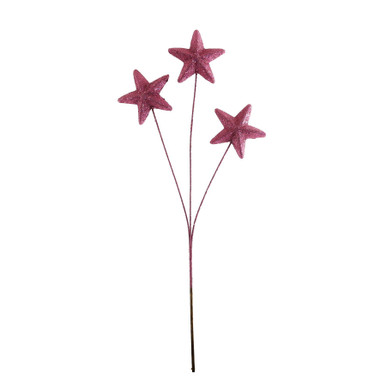 Cerise Glitter Star Spray