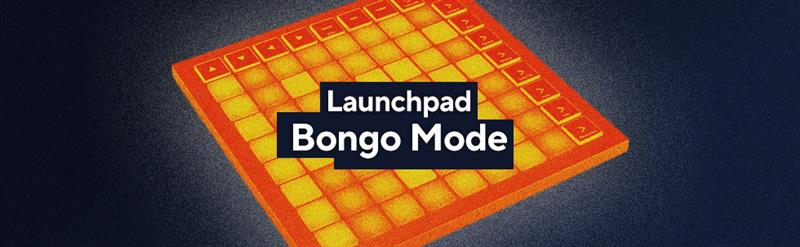 Turn your Launchpad into a Bongo with Custom Modes - Novation