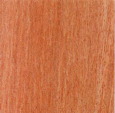 18x18 Meranti KD Select Fillet Mould T13 Rdm - Berlian Timbers PTY Ltd