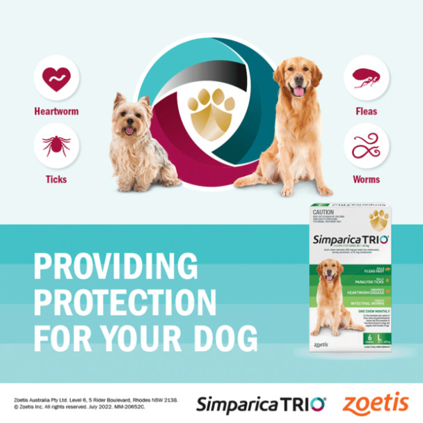 Simparica TRIO Chews for Dogs 44-88 lbs (20.1-40 kg) - Green 12 Chews ...
