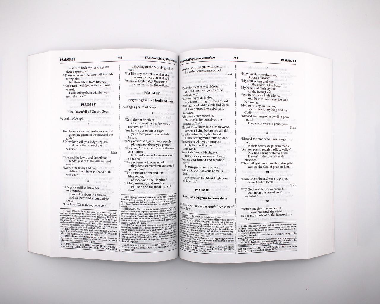 NABRE - New American Bible Revised Edition