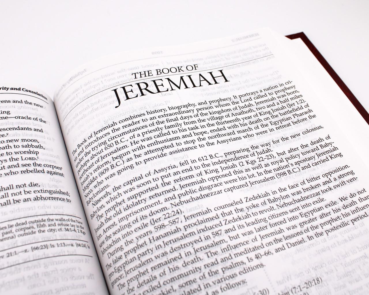 NABRE - New American Bible Revised Edition: Standard Size - Burgundy ...