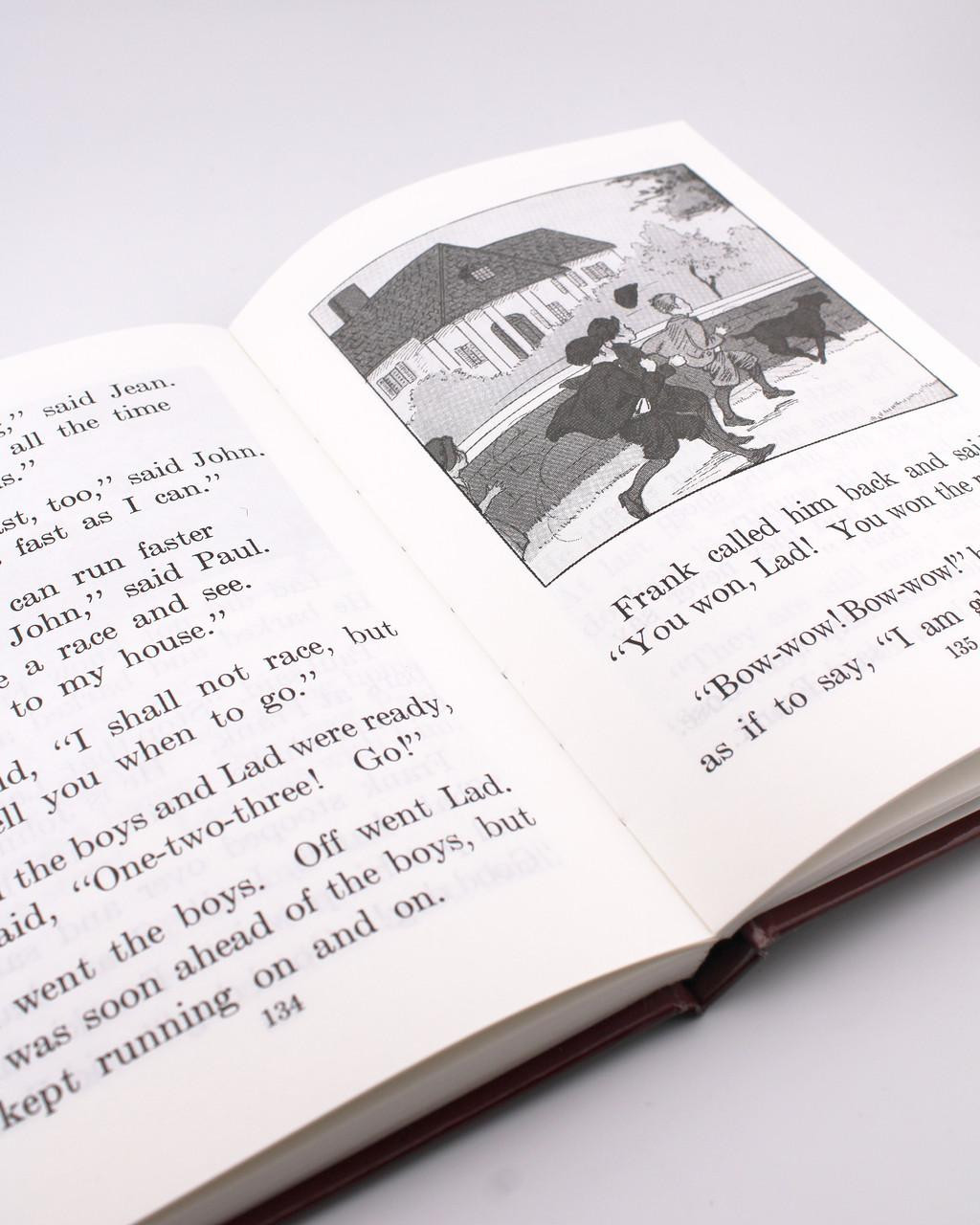 American Cardinal Reader - Book 1